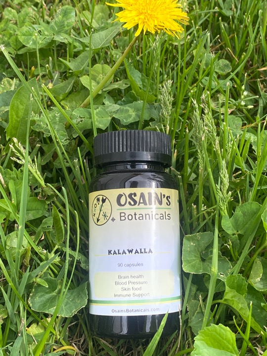 Kalawalla – Osain's Botanicals